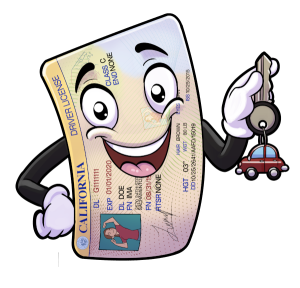 1 DRIVING SCHOOL- DMV Certified Driver Education and Training